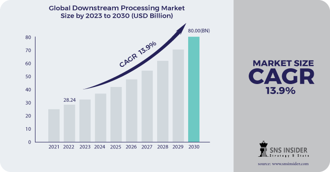 Downstream Processing Market Size, Trends, & Growth Outlook