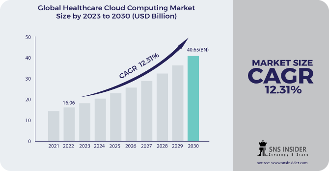Healthcare Cloud Computing Market Size, Share, Forecast 2031