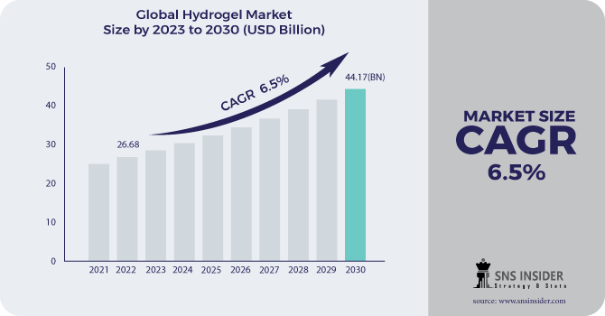 Hydrogel Market Size, Share, & Growth [Report 2030]