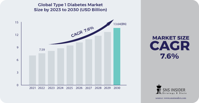 Type 1 Diabetes Market Size, Trends & Global Analysis [2030]