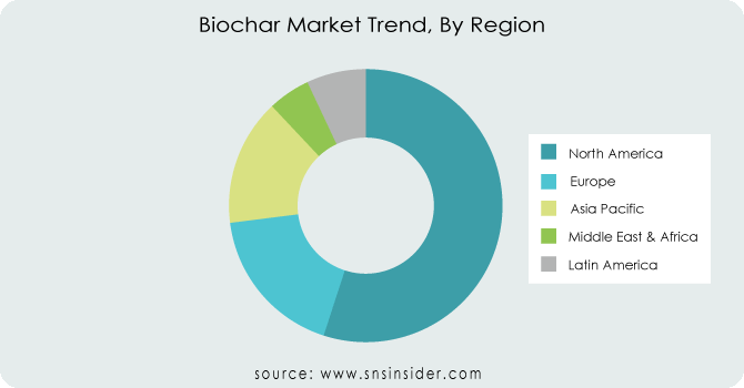Biochar Market Size Share Trends Growth Analysis Report 2031