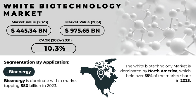 White Biotechnology Market Size, Share, Industry Growth 2031