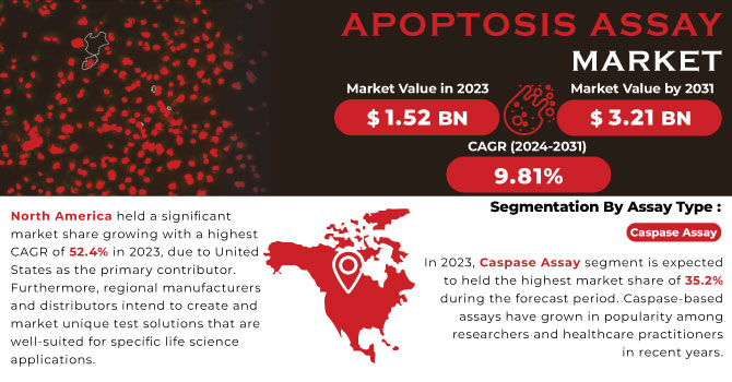 Apoptosis Assay Market Size, Global Share & Analysis By 2032