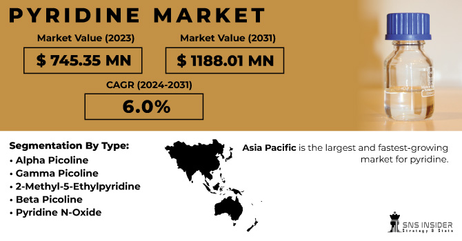 Pyridine Market Size Growth Share Global Industry Trend 2031