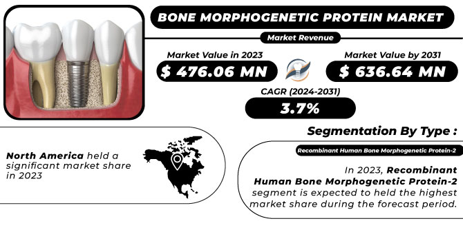 Bone Morphogenetic Protein Market size, share & growth report 2031
