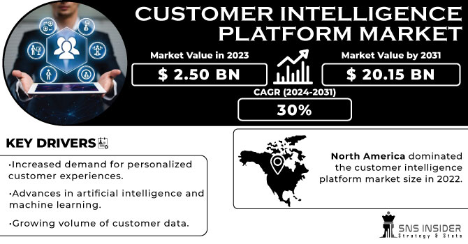 Customer Intelligence Platform Market Size, Demand & Trends